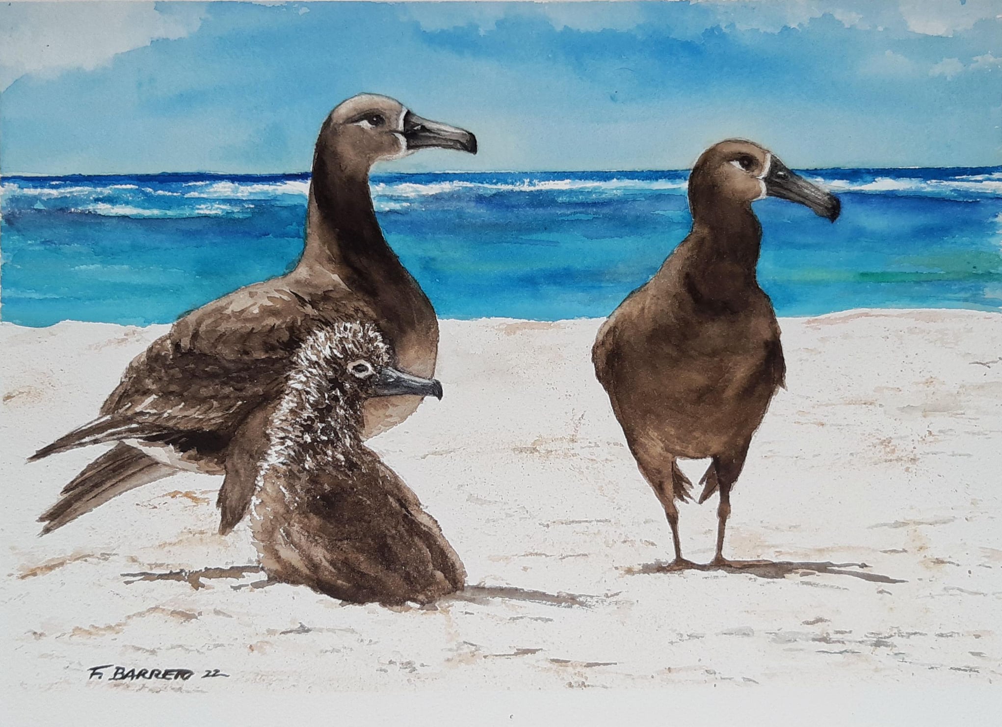 Agreement on the Conservation of Albatrosses and Petrels - Brazilian ...