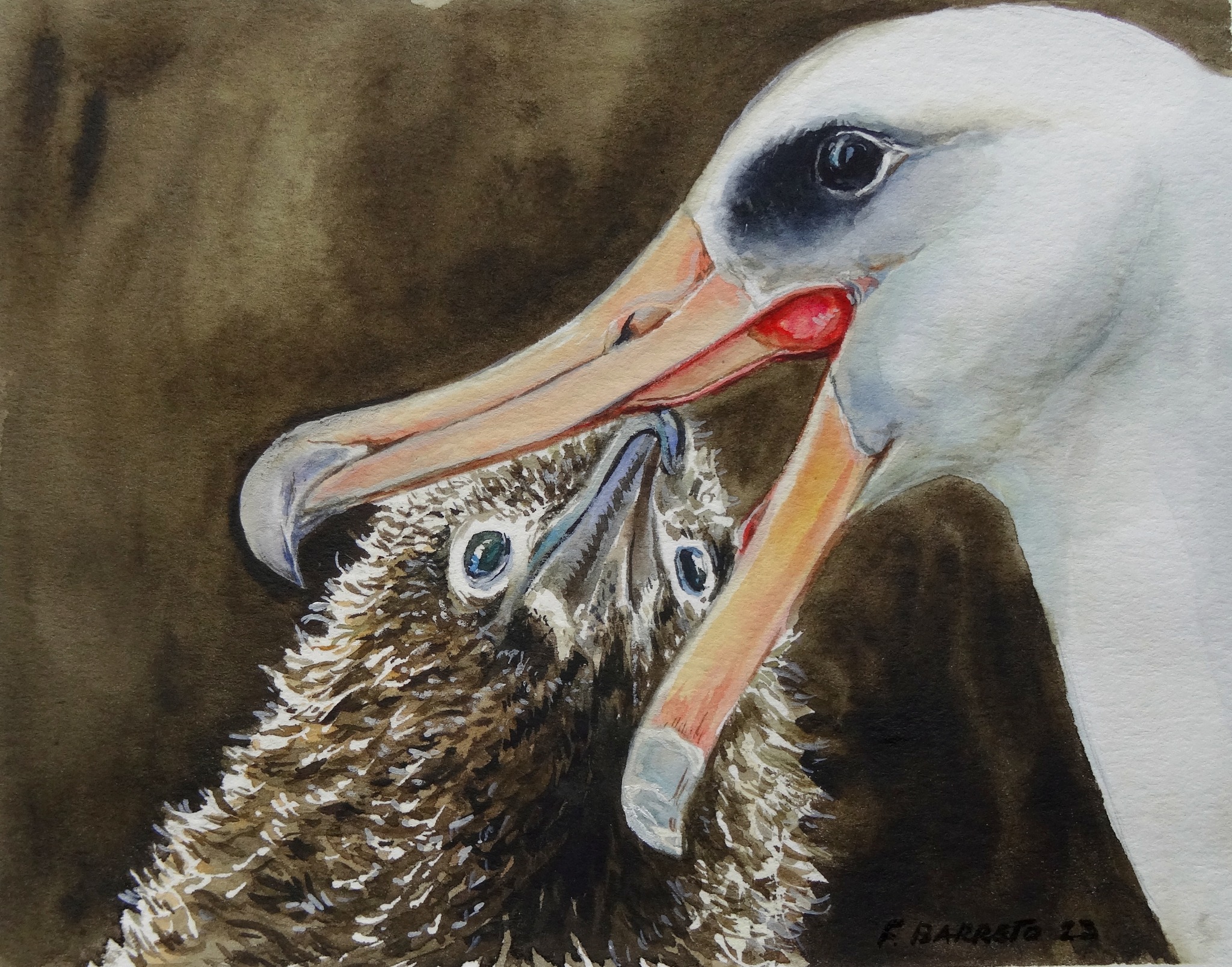 Agreement on the Conservation of Albatrosses and Petrels - Brazilian ...