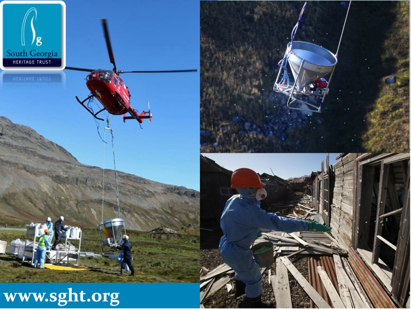 Agreement on the Conservation of Albatrosses and Petrels - Saving ...