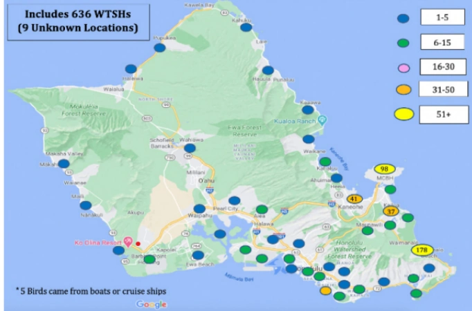 Agreement on the Conservation of Albatrosses and Petrels - Artificial ...