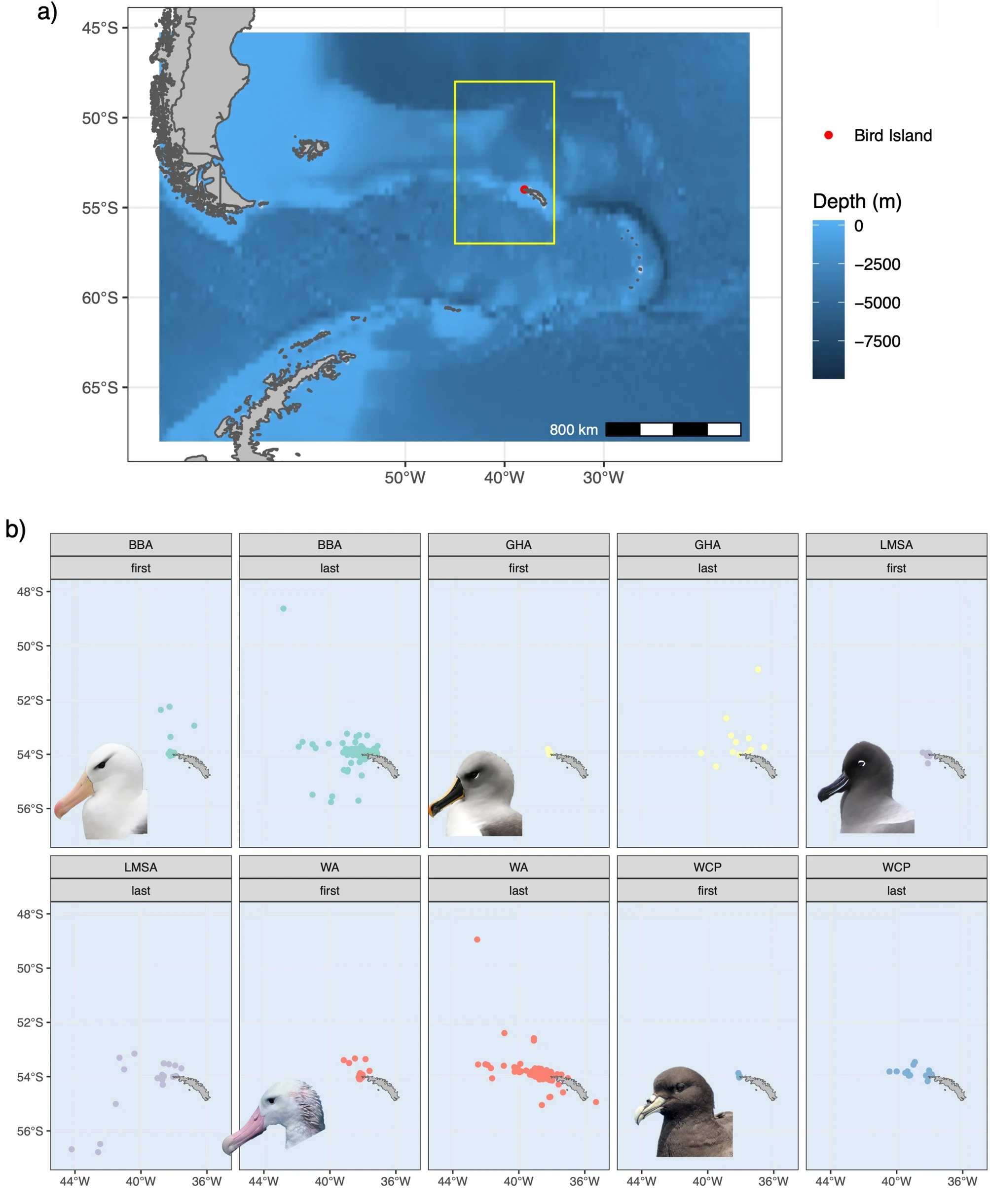 Agreement on the Conservation of Albatrosses and Petrels - Rafting ... Agreement on the Conservation of Albatrosses and Petrels - Rafting ...