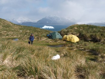 Agreement on the Conservation of Albatrosses and Petrels - ACAP ...