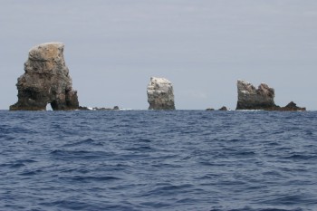 Agreement on the Conservation of Albatrosses and Petrels - ACAP ...