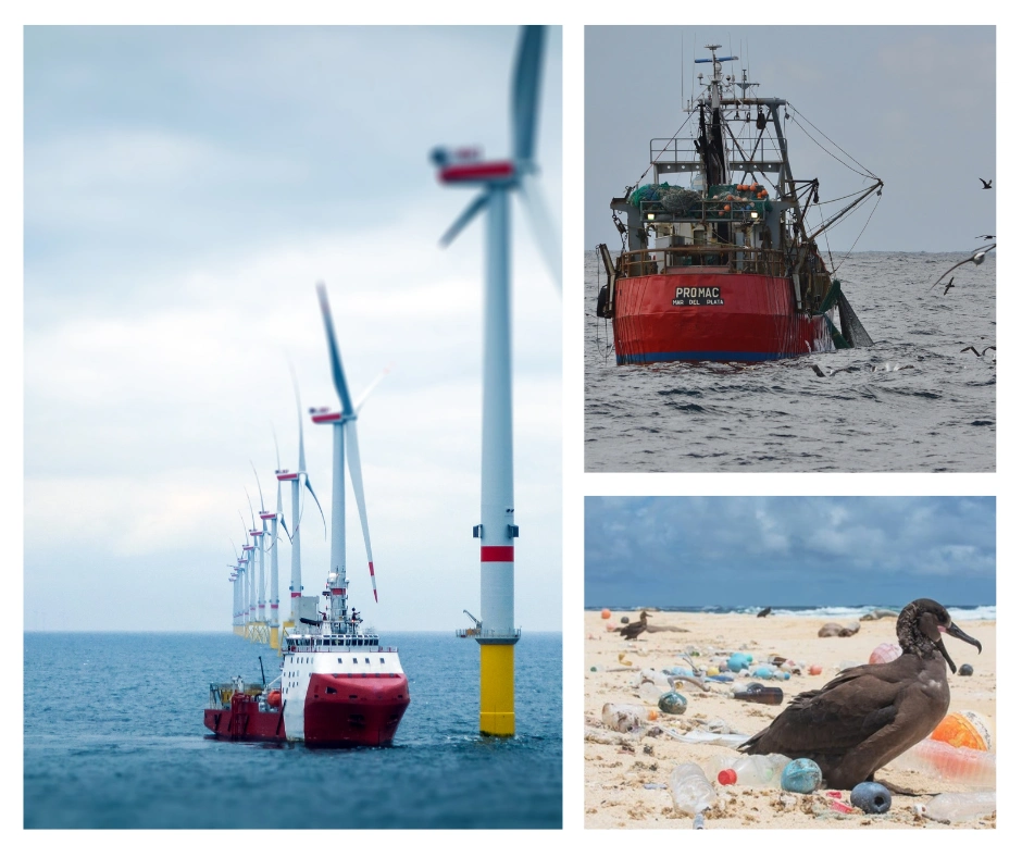 Agreement on the Conservation of Albatrosses and Petrels - Seabird ...