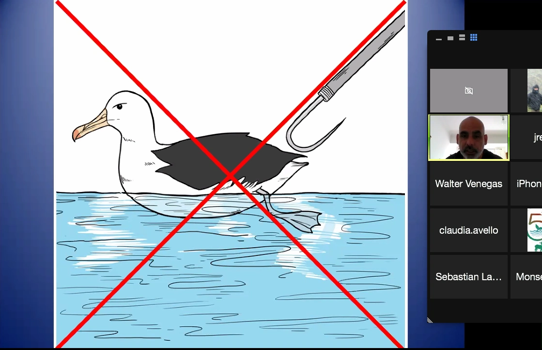 Agreement on the Conservation of Albatrosses and Petrels - Albatross ...