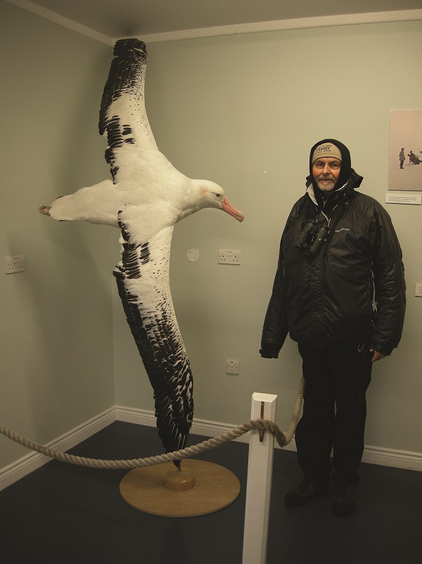 Wandering Albatross Compared Human Wandering Albatross Compared Human