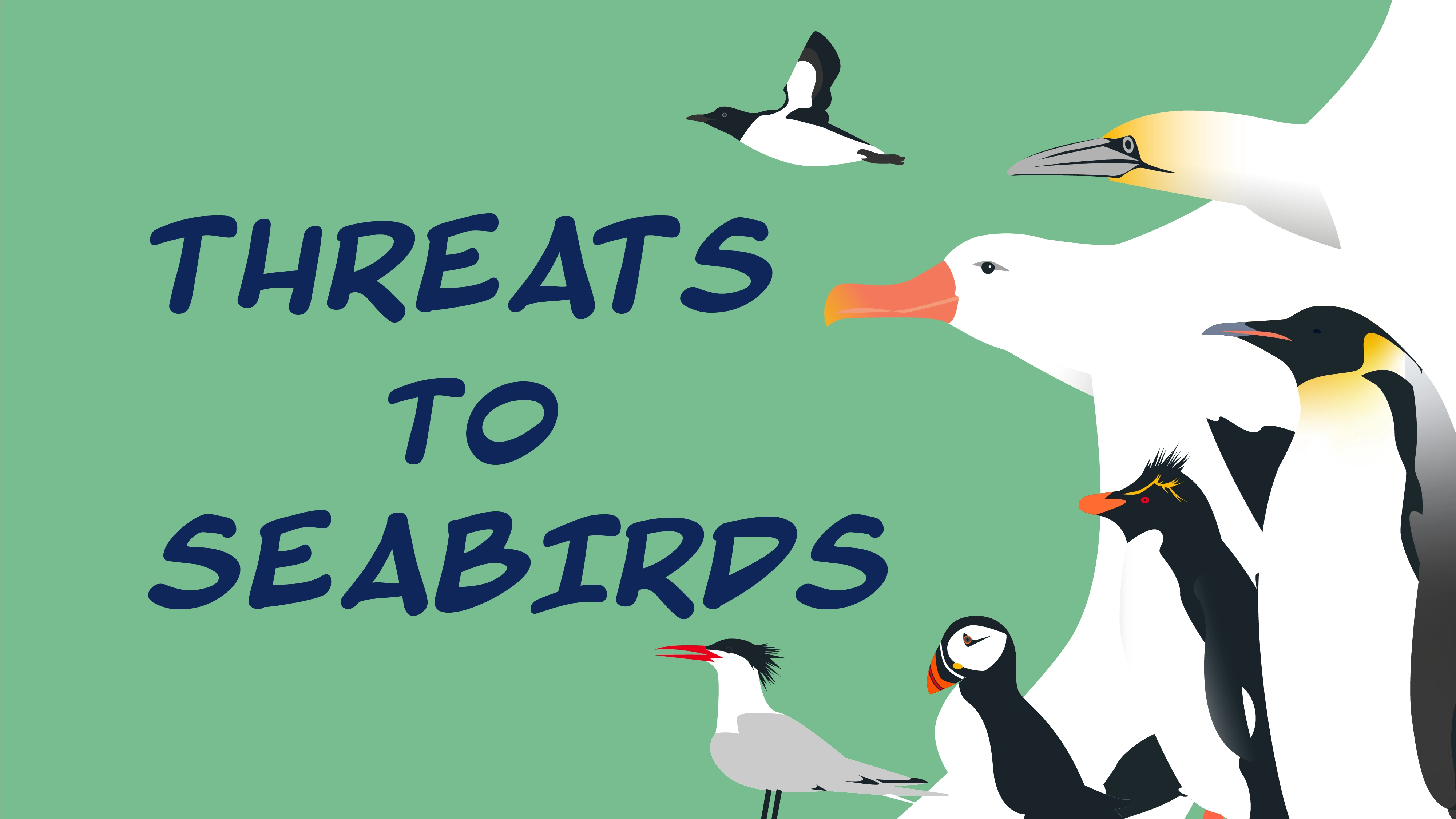 Agreement on the Conservation of Albatrosses and Petrels - A bycatch ...