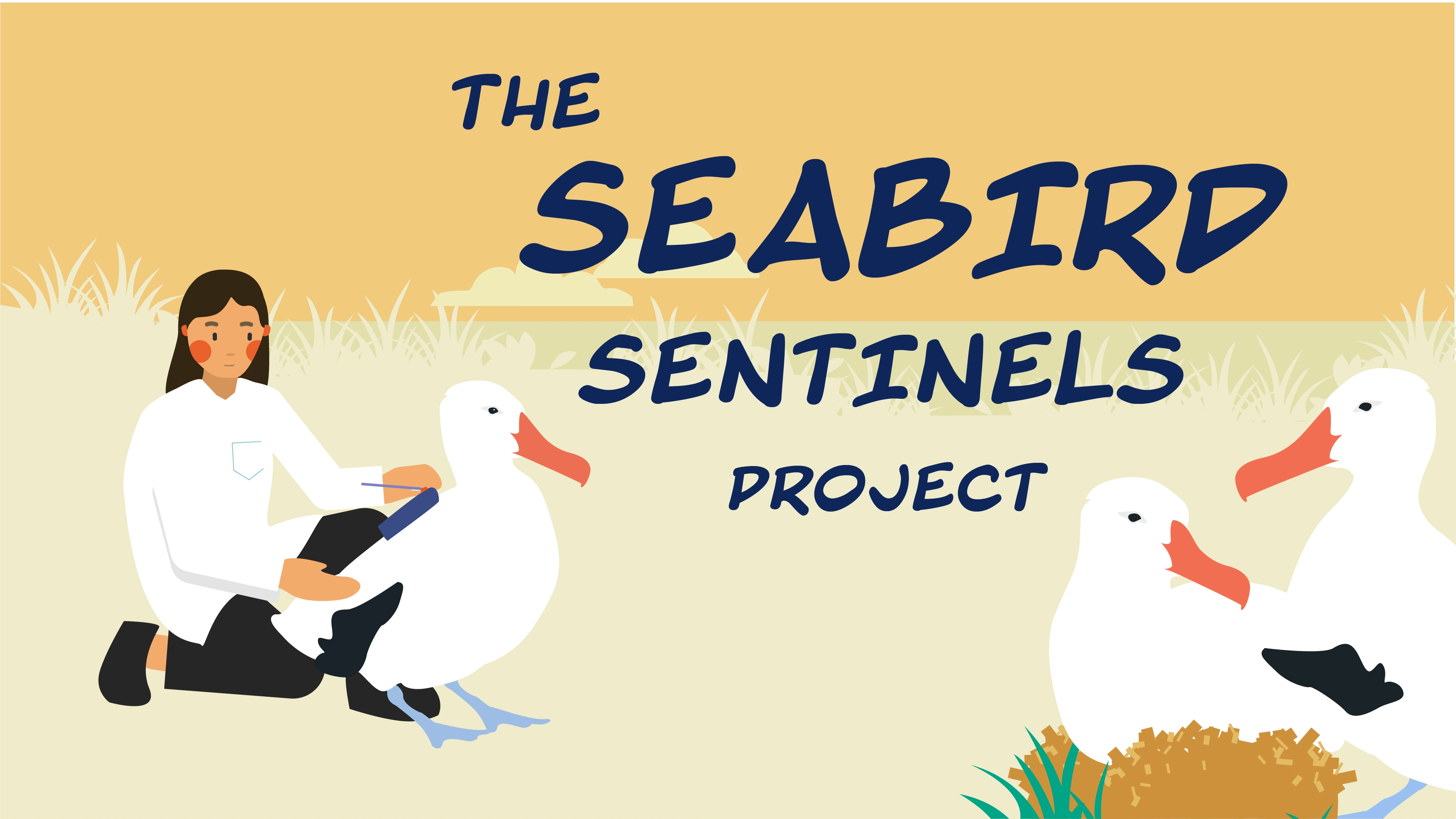 Agreement On The Conservation Of Albatrosses And Petrels Final